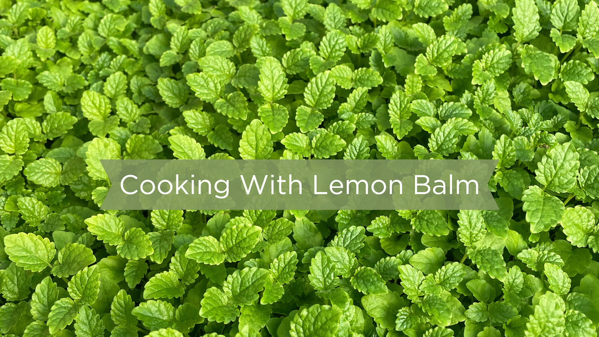 Cooking with Lemon Balm – Ausallium