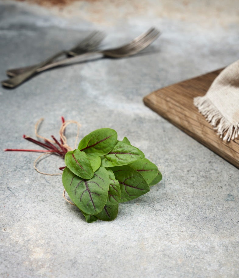 Red Vein Sorrel Baby Leaf – Ausallium