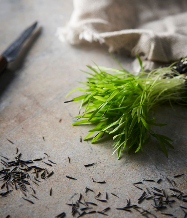 Buy Chervil - Longer Stem & Leaves | Ausallium