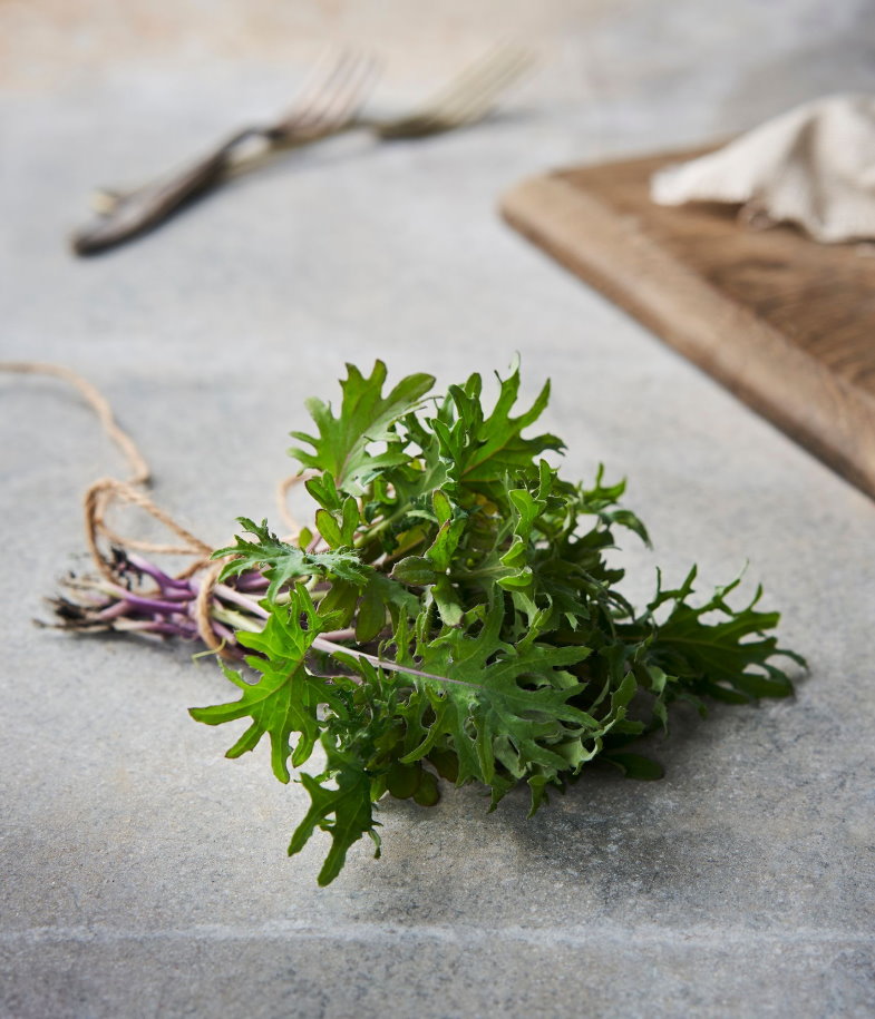 Buy Red Russian Kale Seed - High in Nutrition | Ausallium