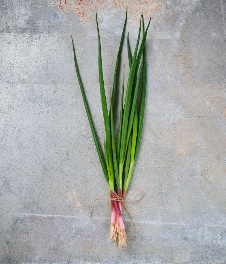 Buy Red Bunching Spring Onions - Subtle Flavour | Ausallium