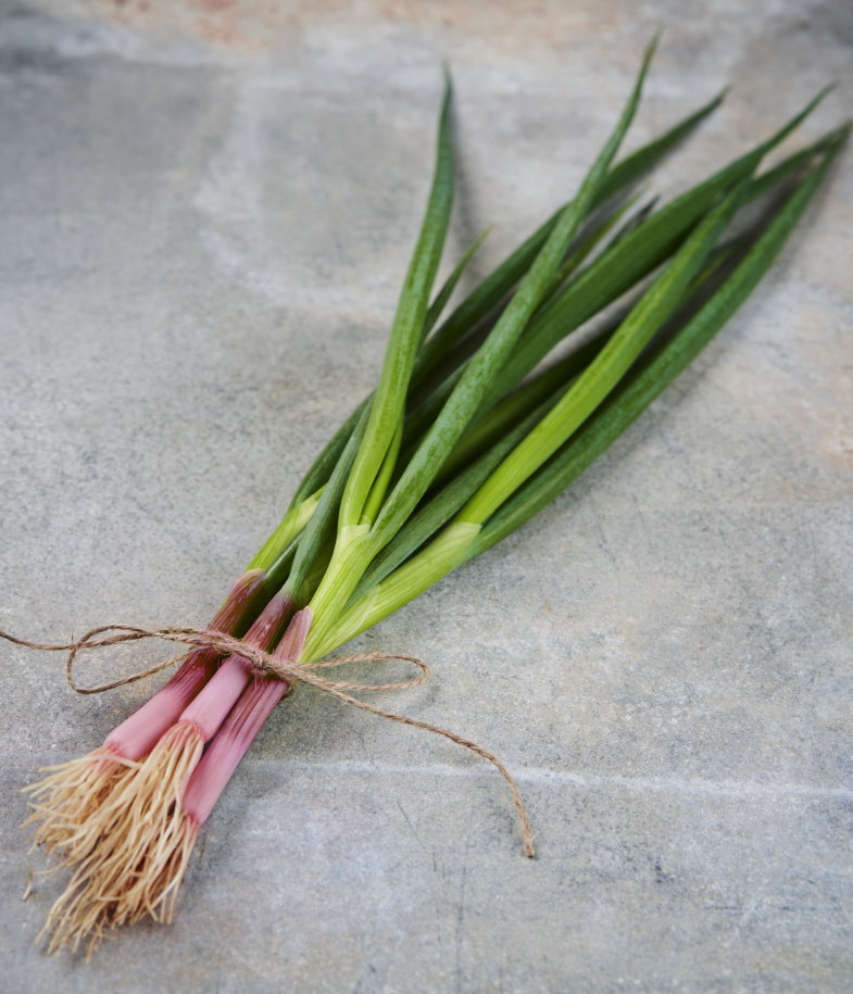 Buy Red Bunching Spring Onions - Subtle Flavour | Ausallium